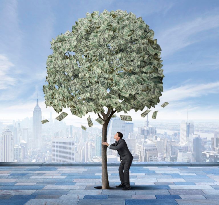 Shaking the ‘Money Tree’: How to Secure Funding for your Tech Startup